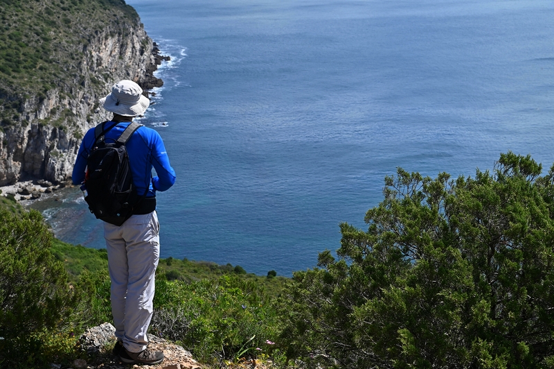 Arrábida: Mais de 1400 espécies de plantas - Passear.com